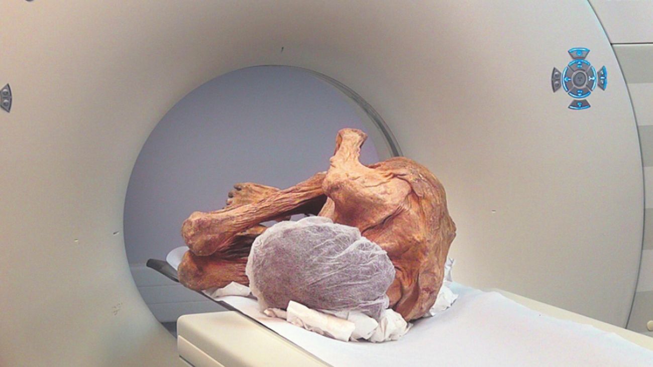 Codelco Salvador inicia investigación para descubrir los secretos de la ...