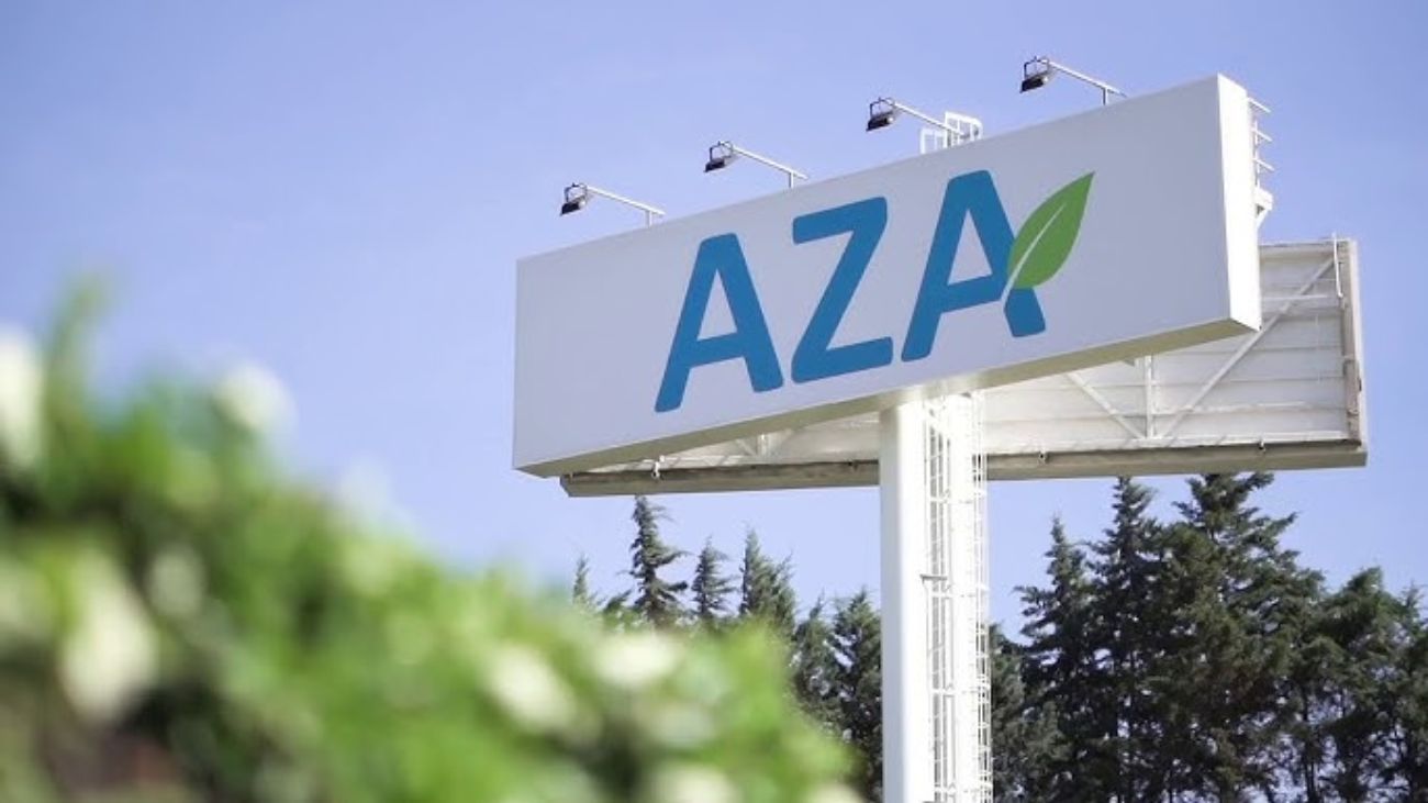 Aceros AZA galardonada como Sustainability Champion 2025, un hito para ...